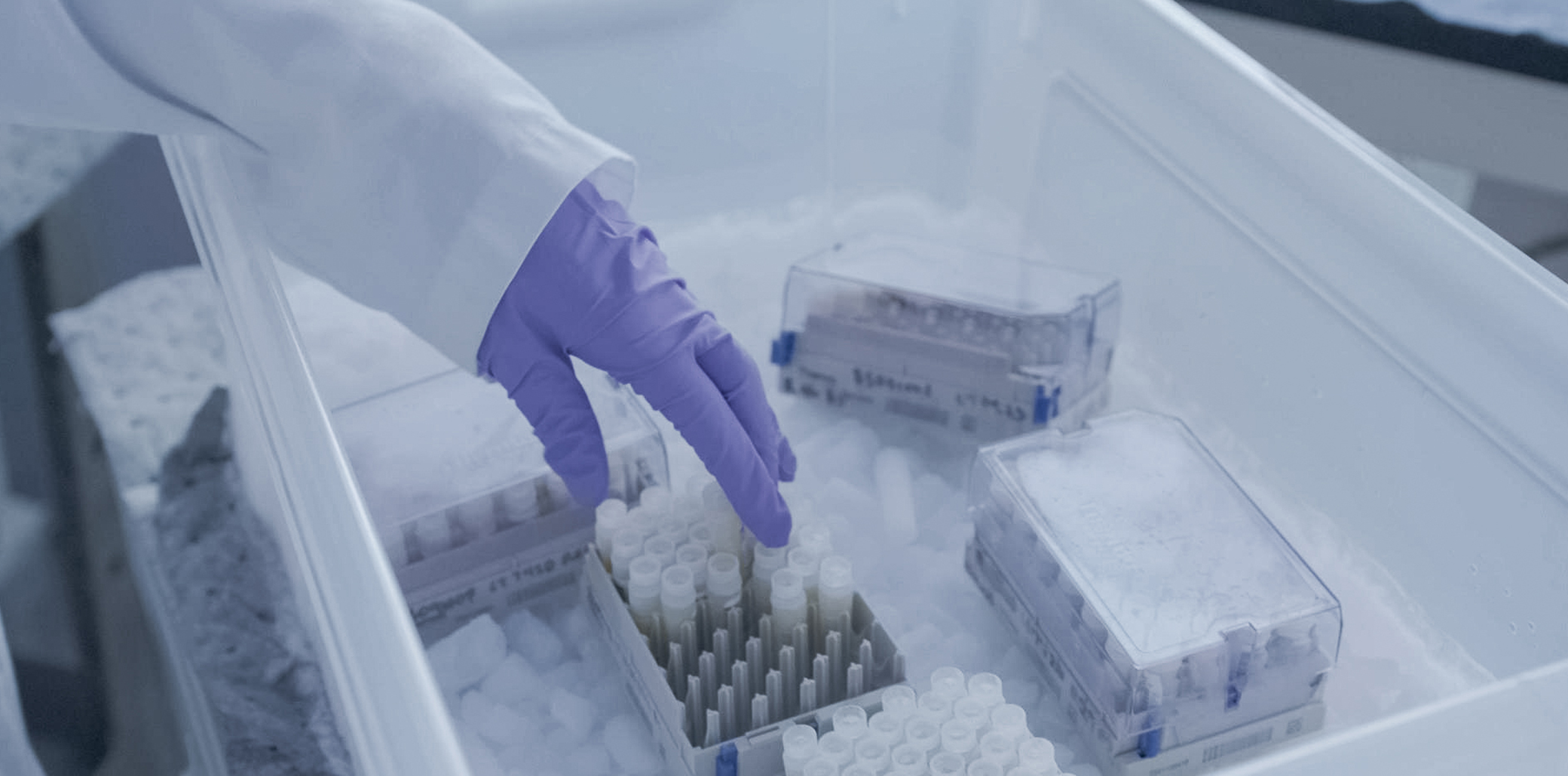 How to Survive a Pandemic - Impact Partners